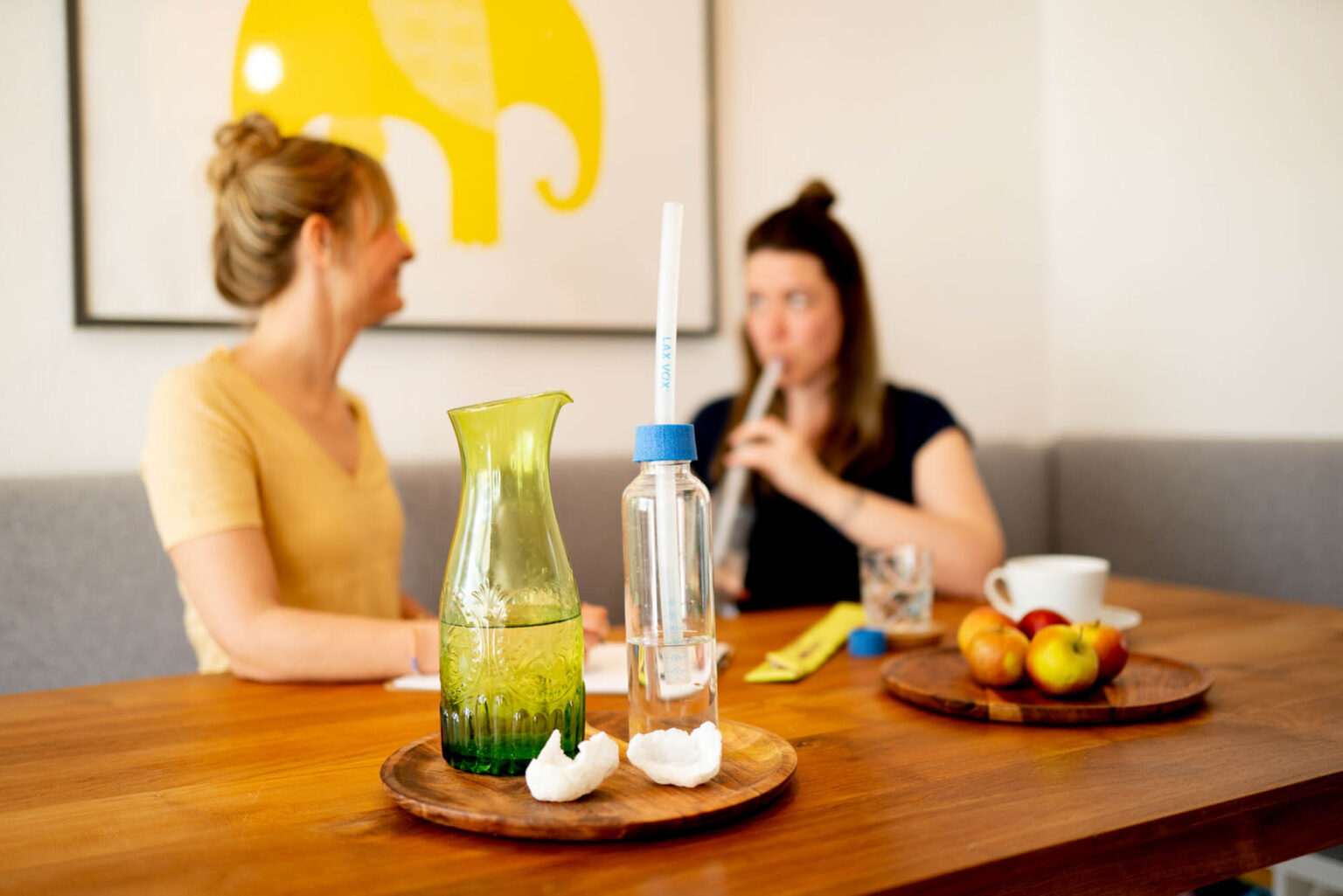 Become a LV® Master Trainer - LAX VOX® Institute by Stephanie A. Kruse